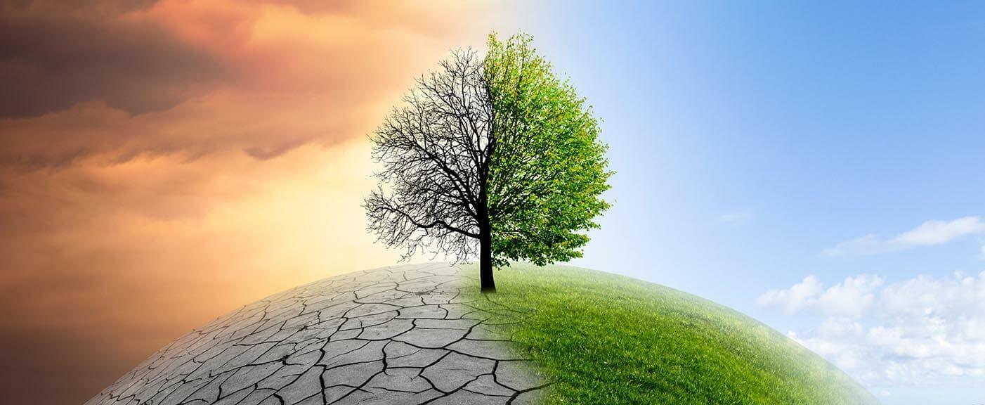 Demande d’autorisation d’exploiter : attention aux délais