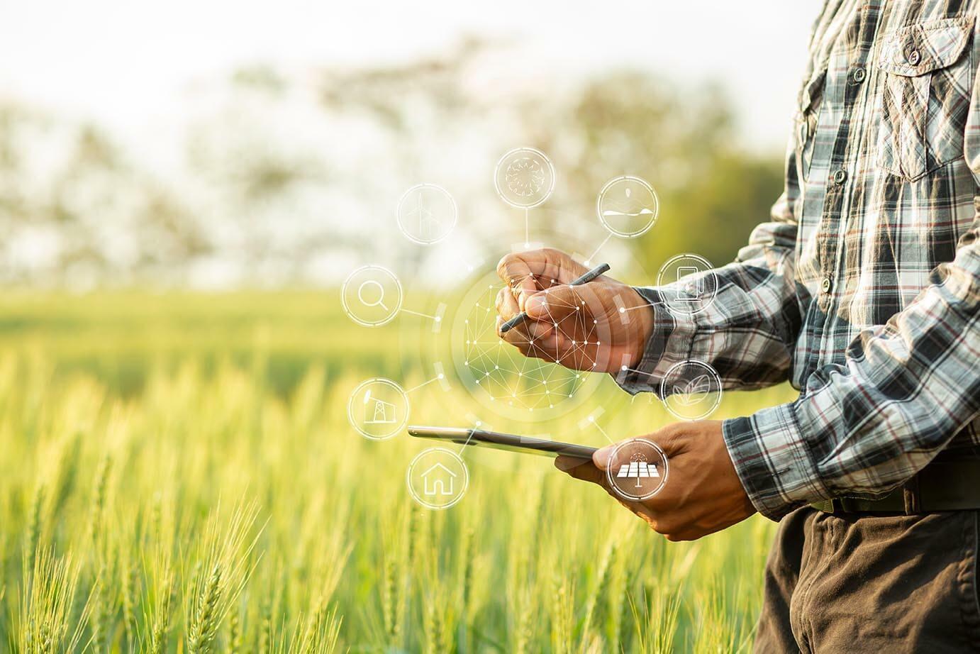 PAC 2023 : Le paiement vert remplacé par les éco-régimes